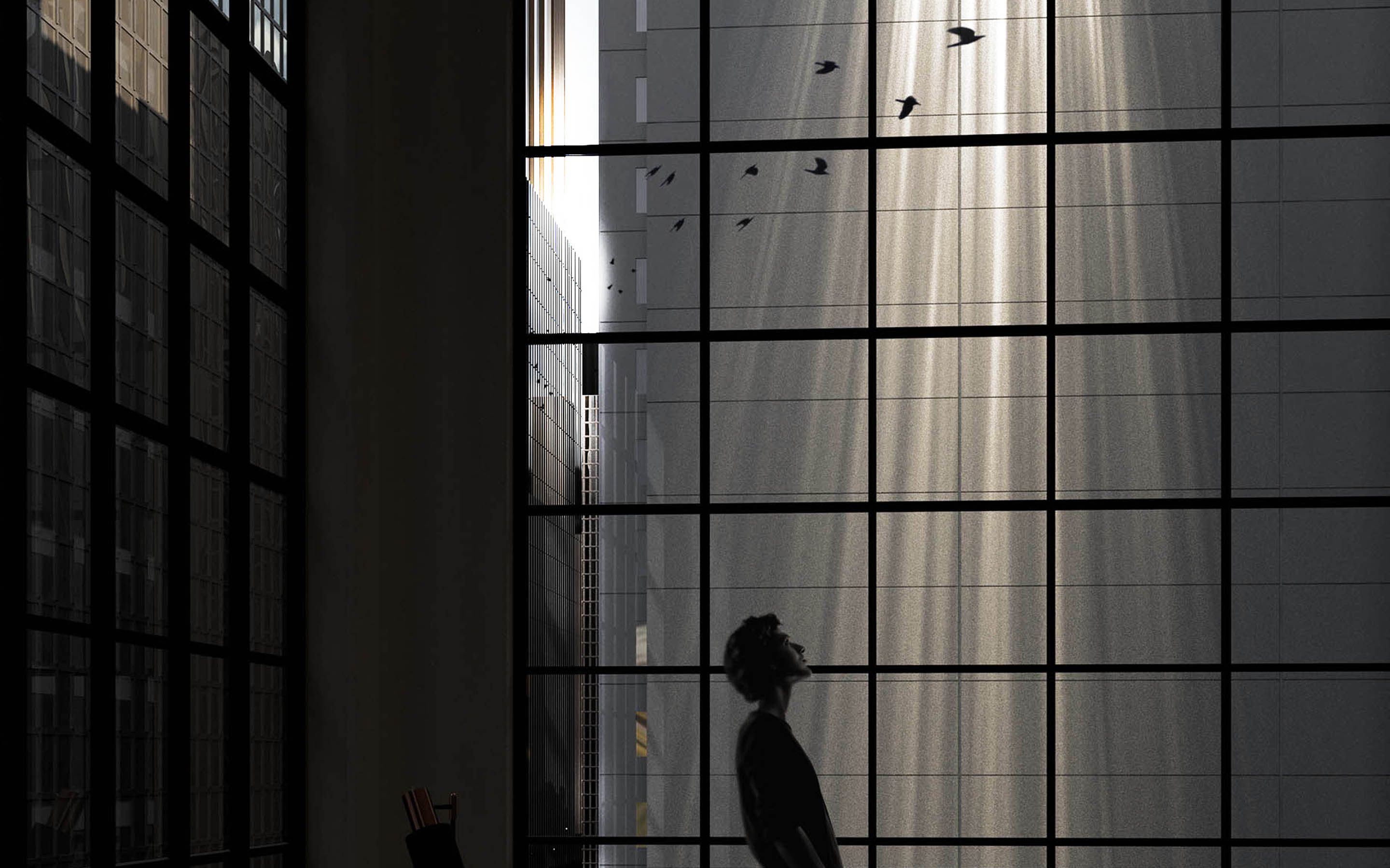 «Ловцы солнца» для мегаполисов - PRAGMATIKA.MEDIA - Україна, Київ