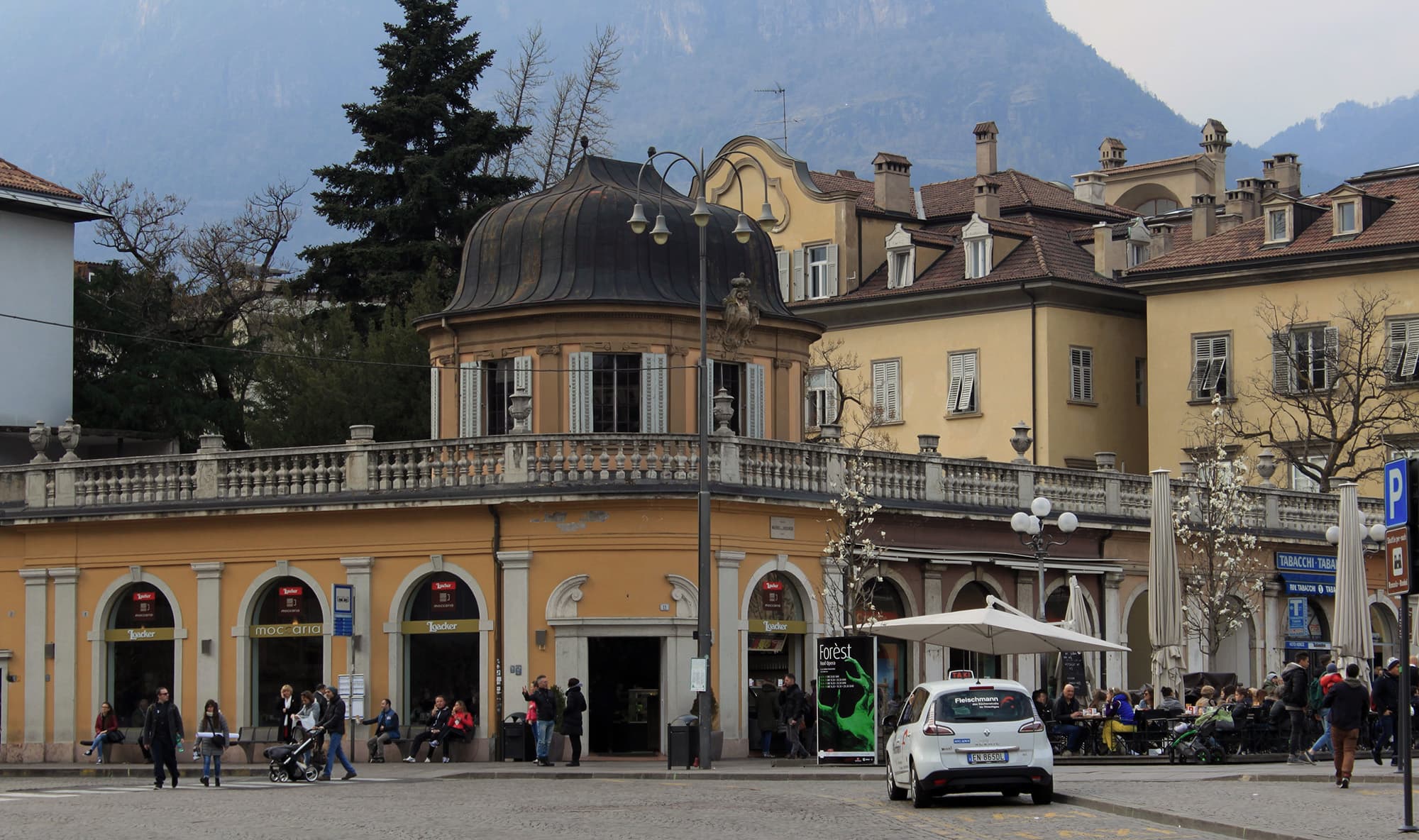 Saving Ginkgo Empress Sissa. A unique project by MdAA Architetti ...