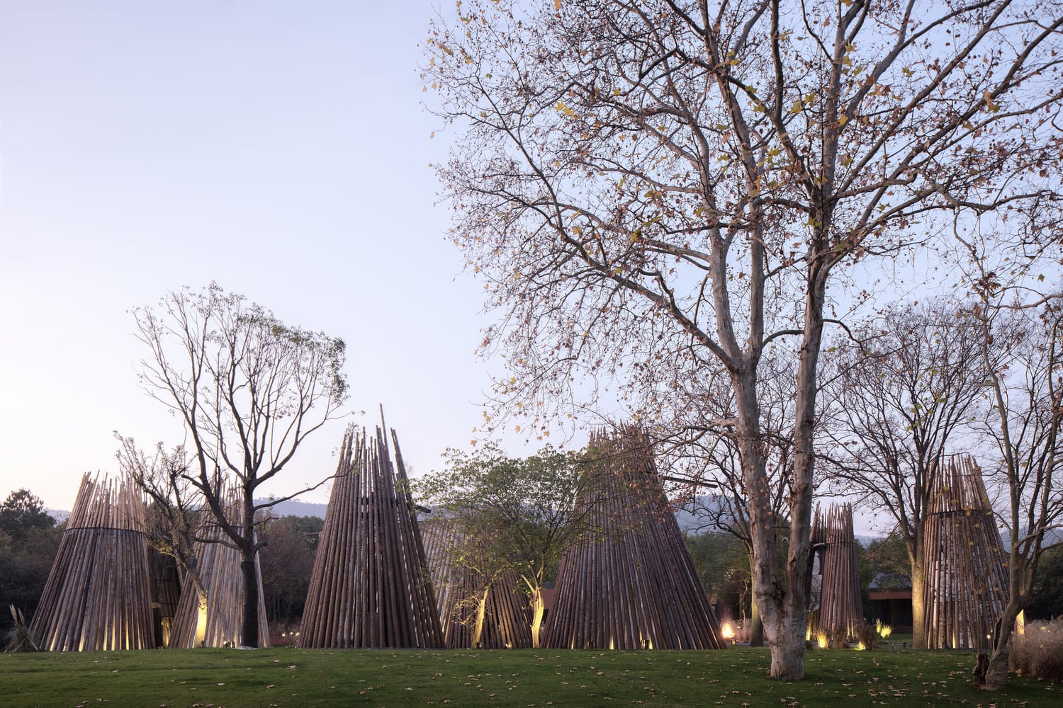 Tourist camp as a method of forest regeneration. Project Origin ...