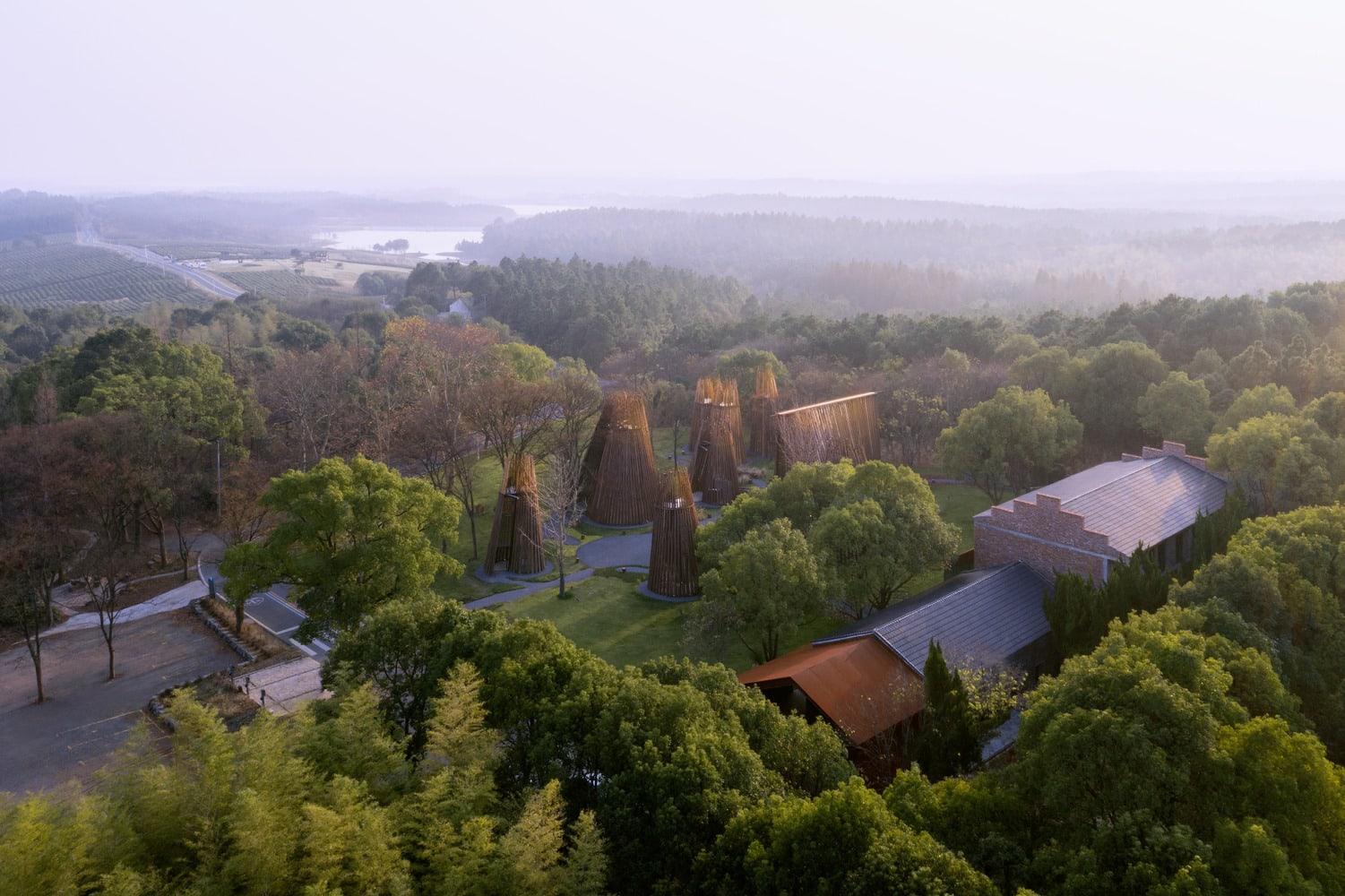 Tourist camp as a method of forest regeneration. Project Origin ...