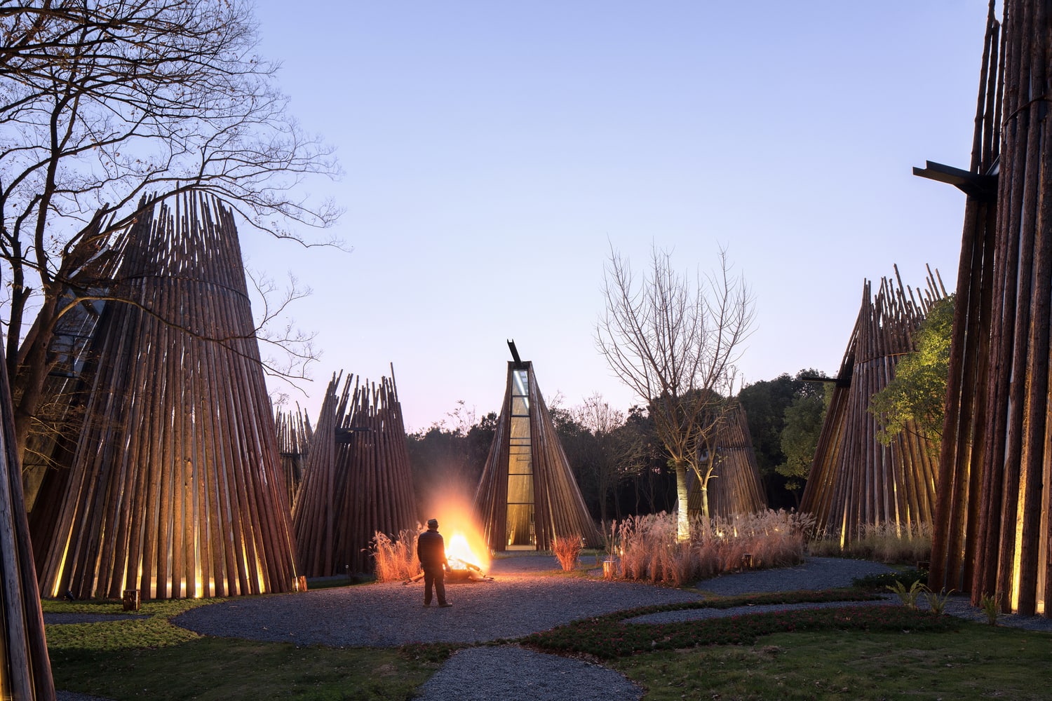 Tourist camp as a method of forest regeneration. Project Origin ...