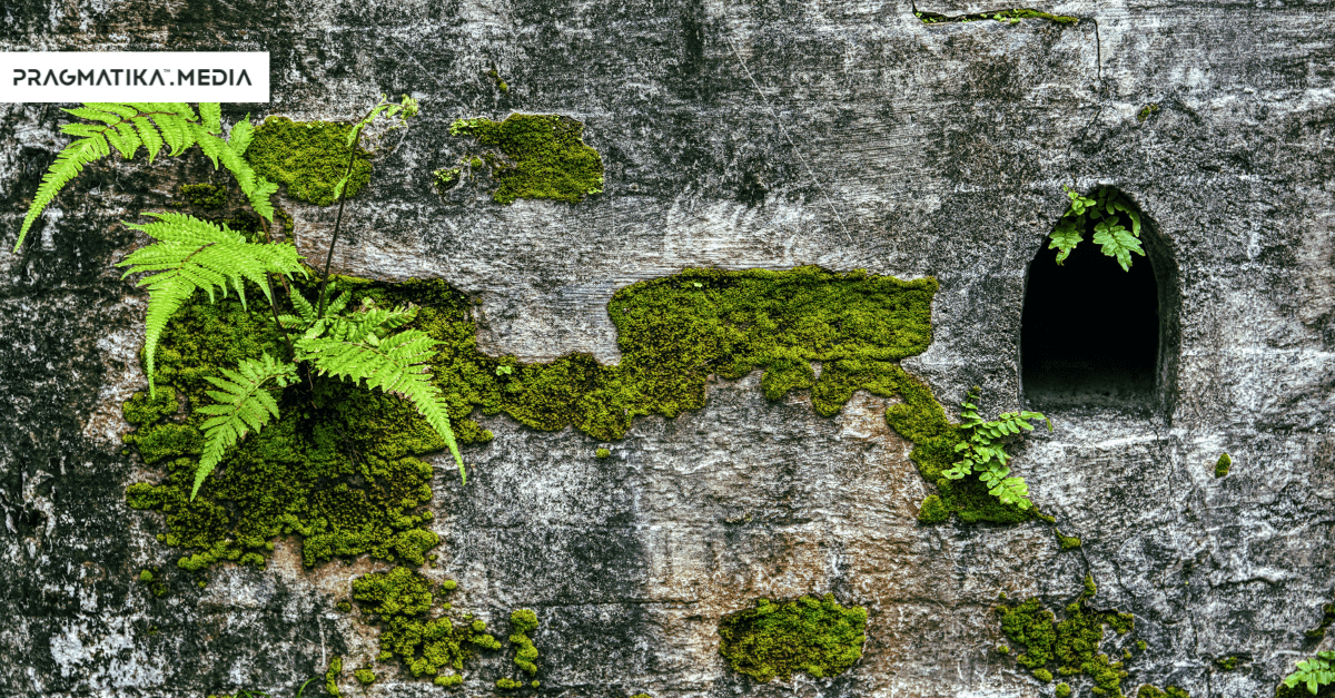 Amsterdã testa concreto para crescimento de musgo em fachadas ...