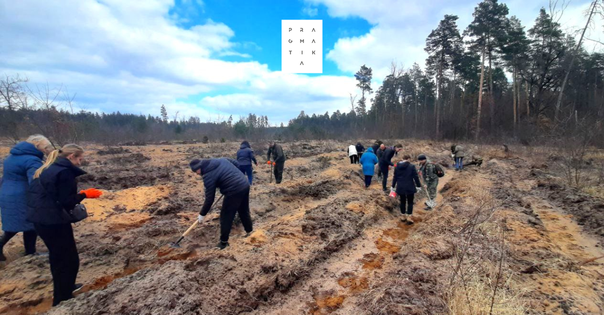 3800 pine and oak saplings were planted in one of the Kyiv forest parks ...