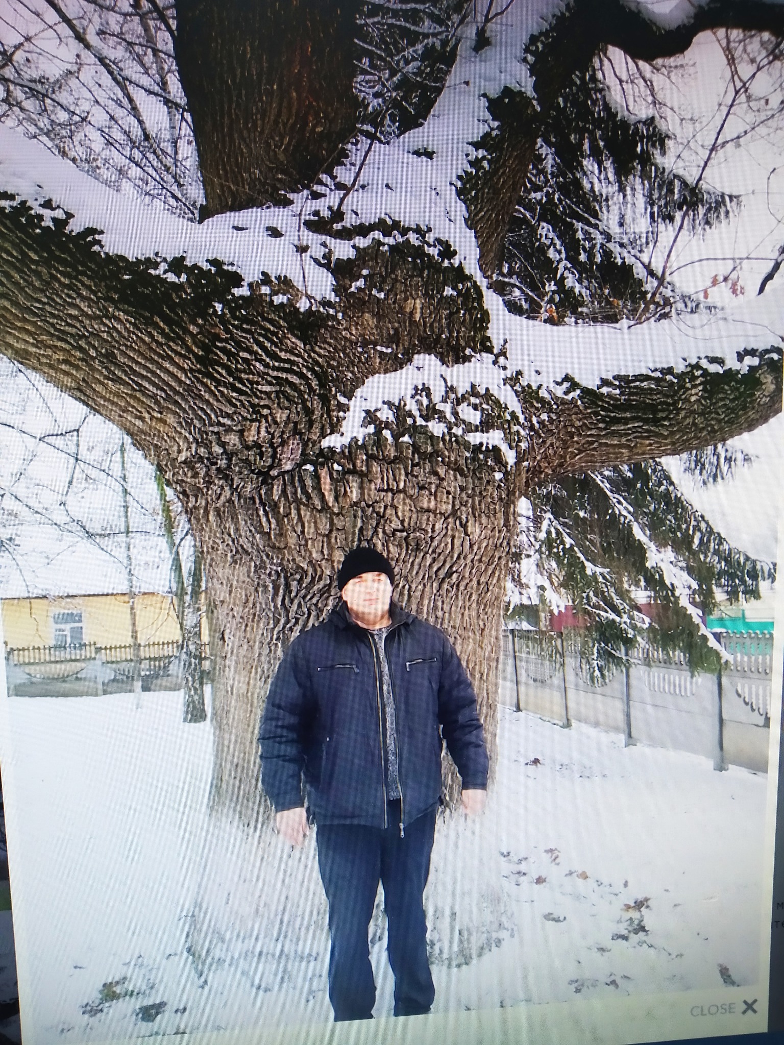 A 300-year-old oak tree in the Kyiv region was recognized as a natural ...