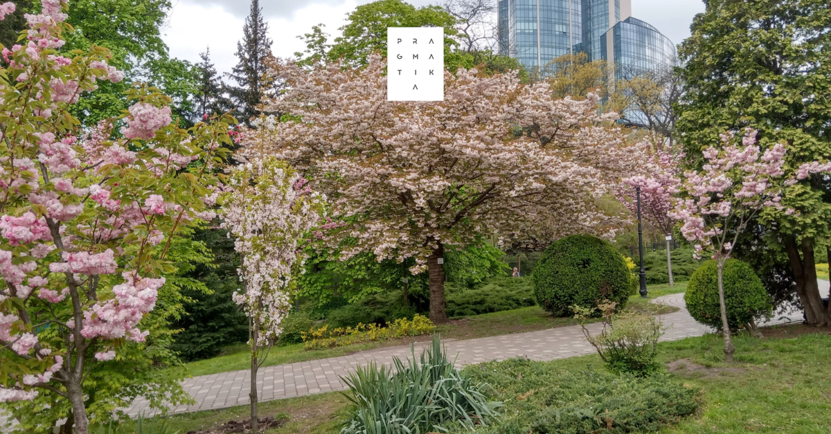 They want to build a park with a recreation area in Obolon - PRAGMATIKA ...